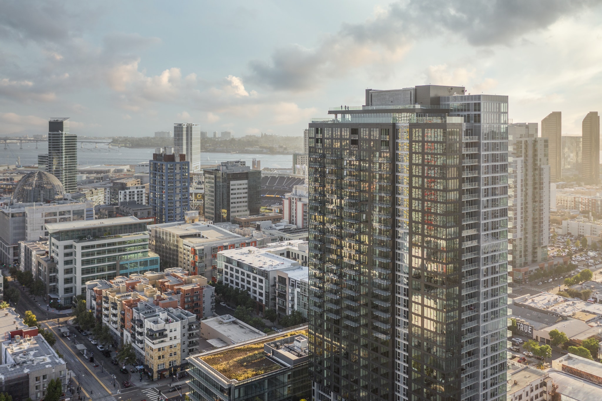 Firm Sectors - Carrier Johnson + Culture